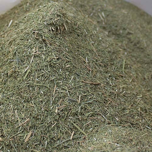 Dried Dill Leaves Manufacturer Venus Dehydrates - Manufacturer and ...