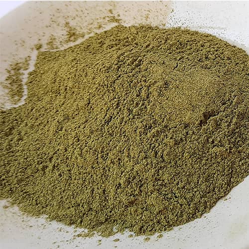 Mint Powder Manufacturer - Venus Dehydrates